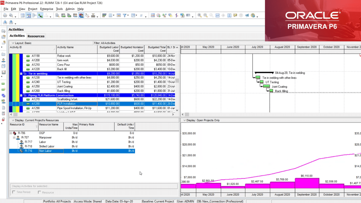 Primavera P6 vs MS Project: Which One is Right for Your Projects? - The ...