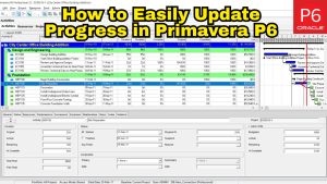 How to Easily Update Progress in Primavera P6l - The Skills Age