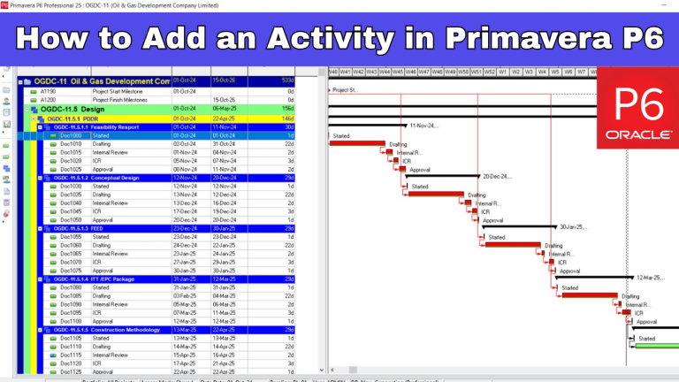 How to Add an Activity in Primavera P6