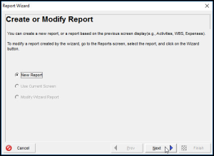 How to Create Reports in Primavera P6 Professional? - The Skills Age
